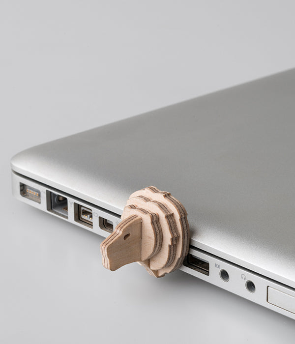 Lion USB – 16GB – Native Decor